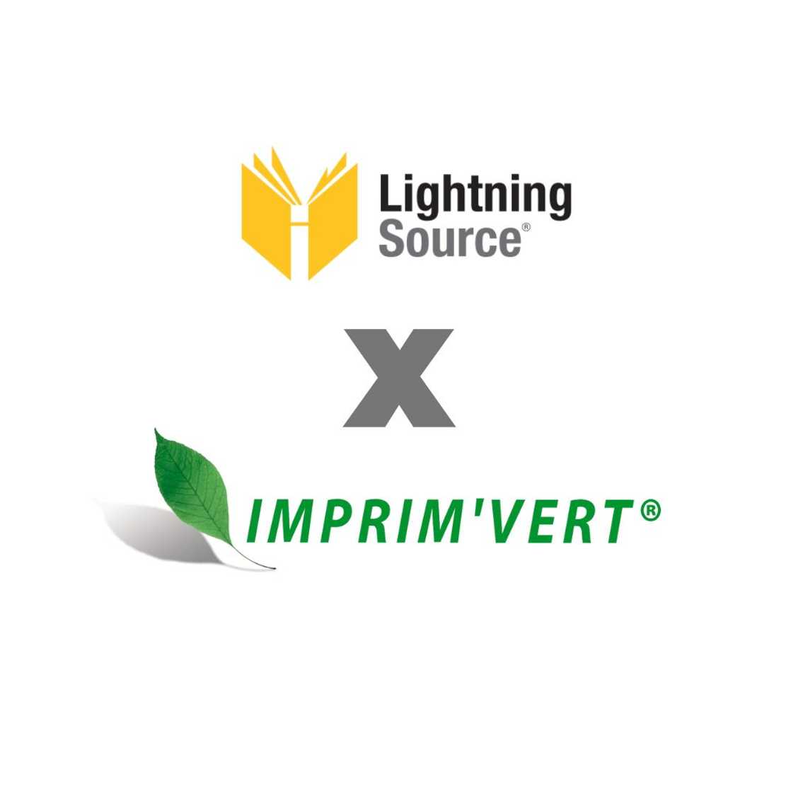 Lightning Source Logo How The Logo Is Printed? USB C Cable