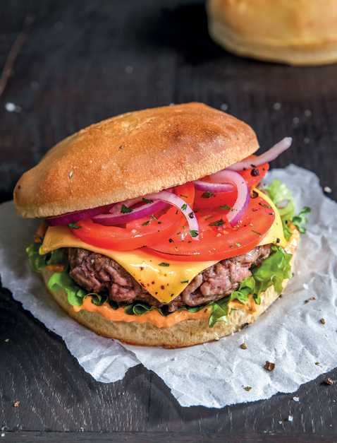 Le burger d'Alex | Éditions Larousse