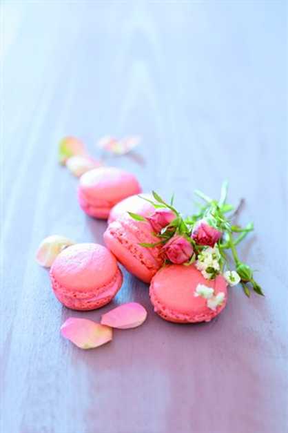 Macaron rose | Éditions Larousse