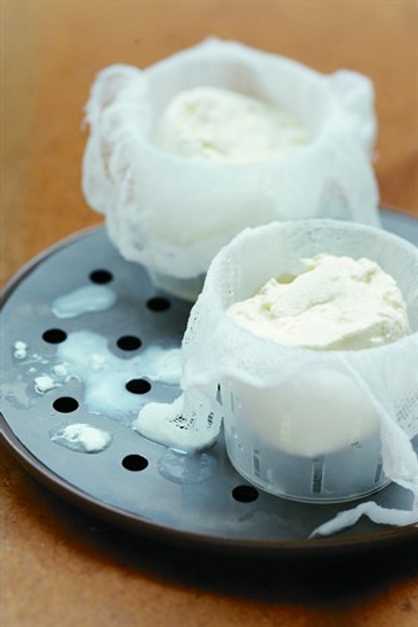 Petit fromage de chèvre frais | Éditions Larousse