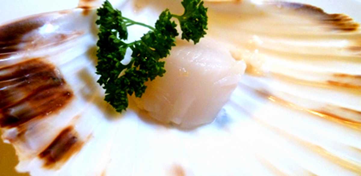 Comment cuisiner les Saint-Jacques ? | Marabout