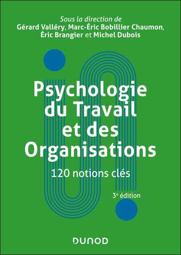 Psychologie du Travail et des Organisations : 120 notions clés - 3e éd ...