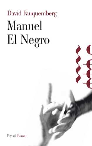 Manuel El Negro (Grand format - Broché 2013), de David Fauquemberg ...