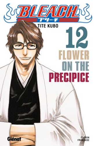 Bleach - Tome 12 (Grand format - Autre 2005), de Tite Kubo | Éditions ...
