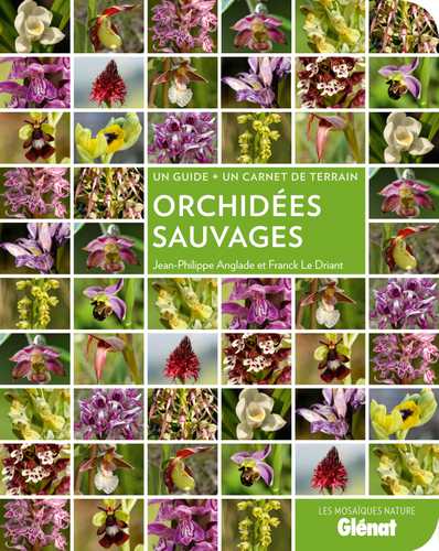 Orchidées sauvages (Grand format - Broché 2015), de Jean-Philippe ...