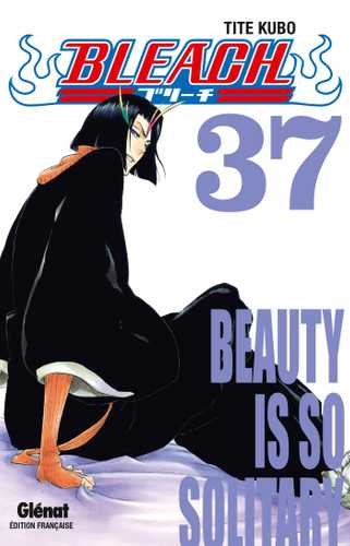 Bleach - Tome 37 (Grand format - Autre 2010), de Tite Kubo | Éditions Glénat