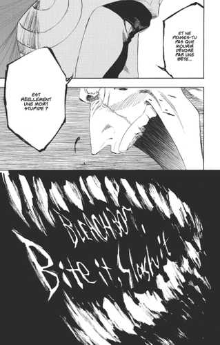 Bleach - T35 - Chapitre 307 (Fichier (ebook, pdf) 2022), de Tite Kubo ...