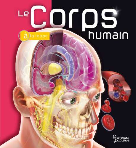 Le Corps humain (Grand format - Cartonné 2023), de Linda Calabresi | Éditions Larousse