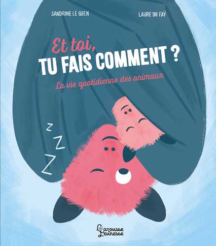 Et toi, tu fais comment ? (Grand format - Cartonné 2023), de Sandrine ...