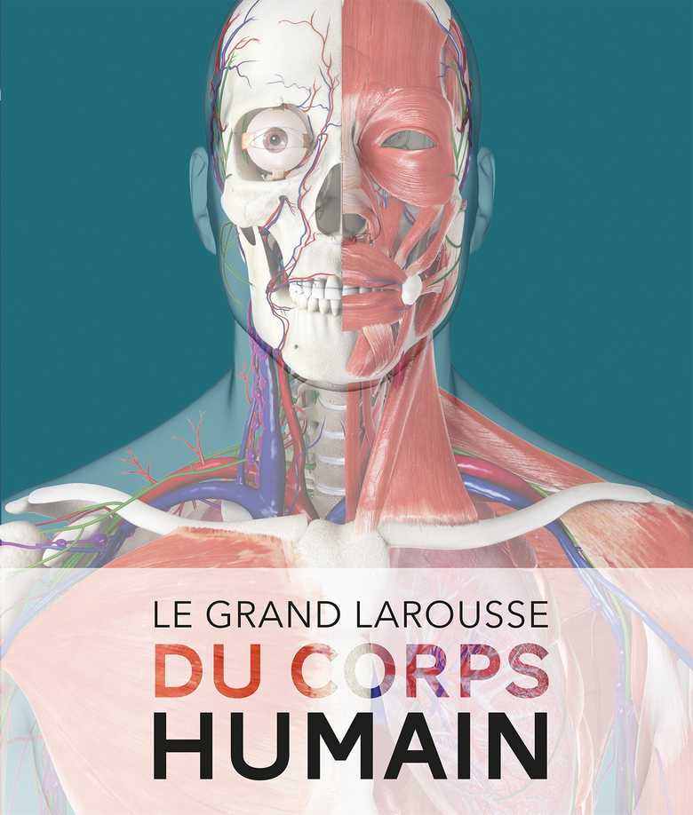 Anatomie Du Corps Humain Anatomie Du Corps Humain, Laskowski #7 Spiral